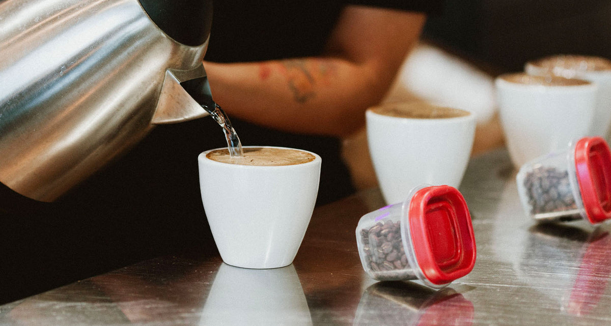 What Is a Cup of Coffee? - The Counter | Trade Coffee