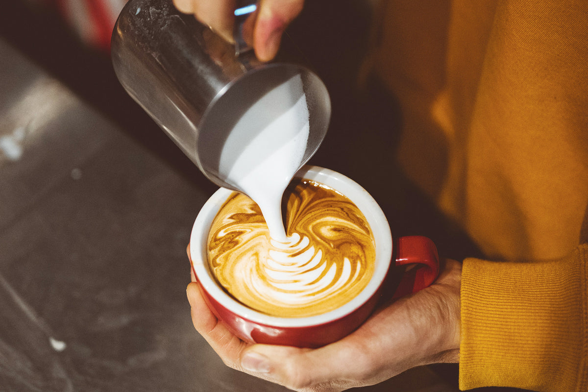 Deep Dive: Your True Cortado Definition | Trade Coffee