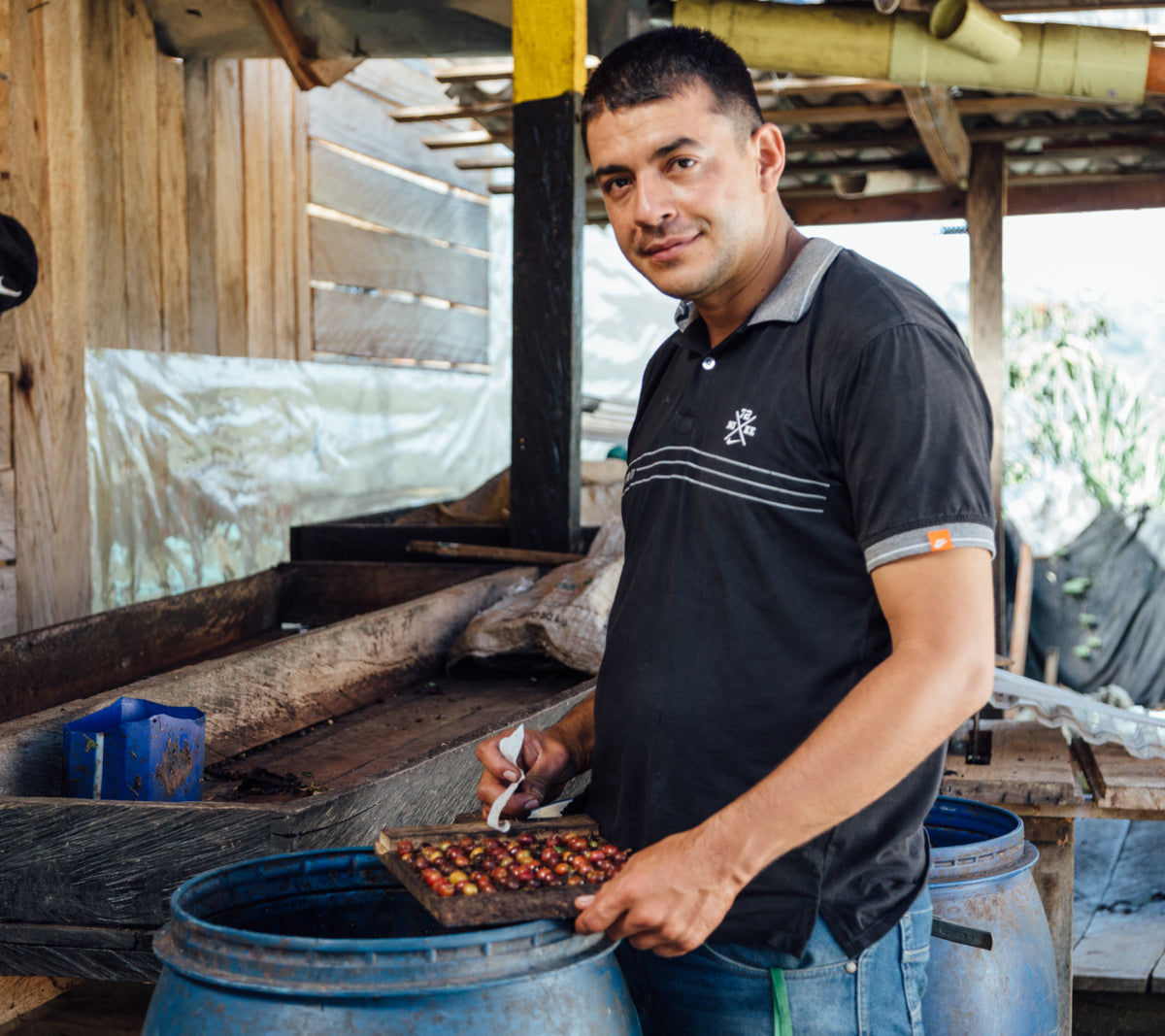 Best of Trade: Farmer's Market Strawberries | Trade Coffee Co