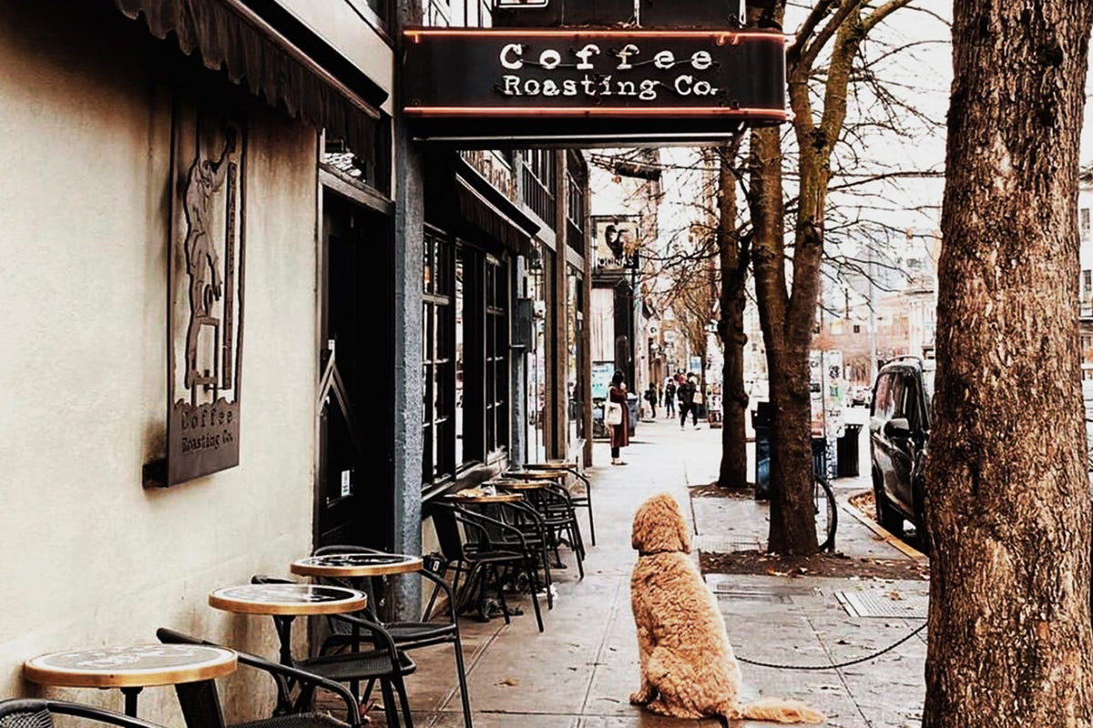 Café Guide: Seattle - The Counter | Trade Coffee